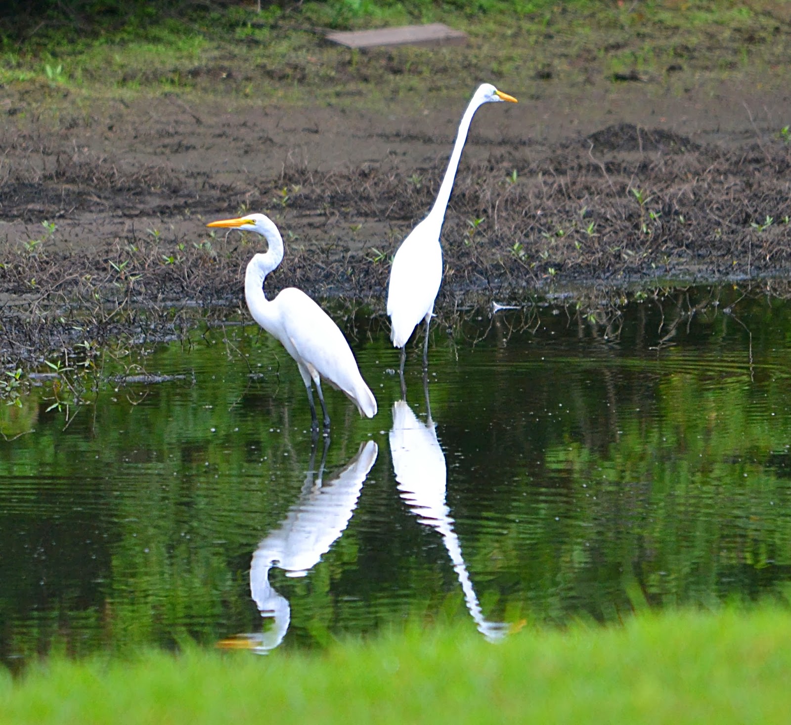 Focus On Killingworth, CT and Surrounding Towns: Haddam Views