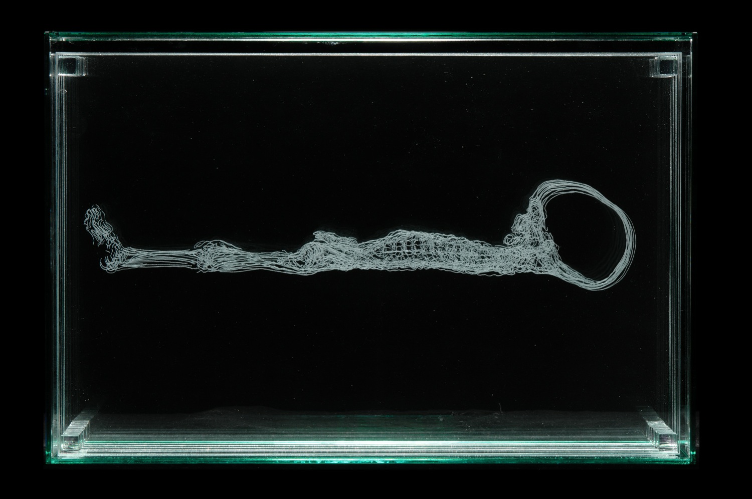 Oh, by the way...: BEAUTY: Art--Angela Palmer