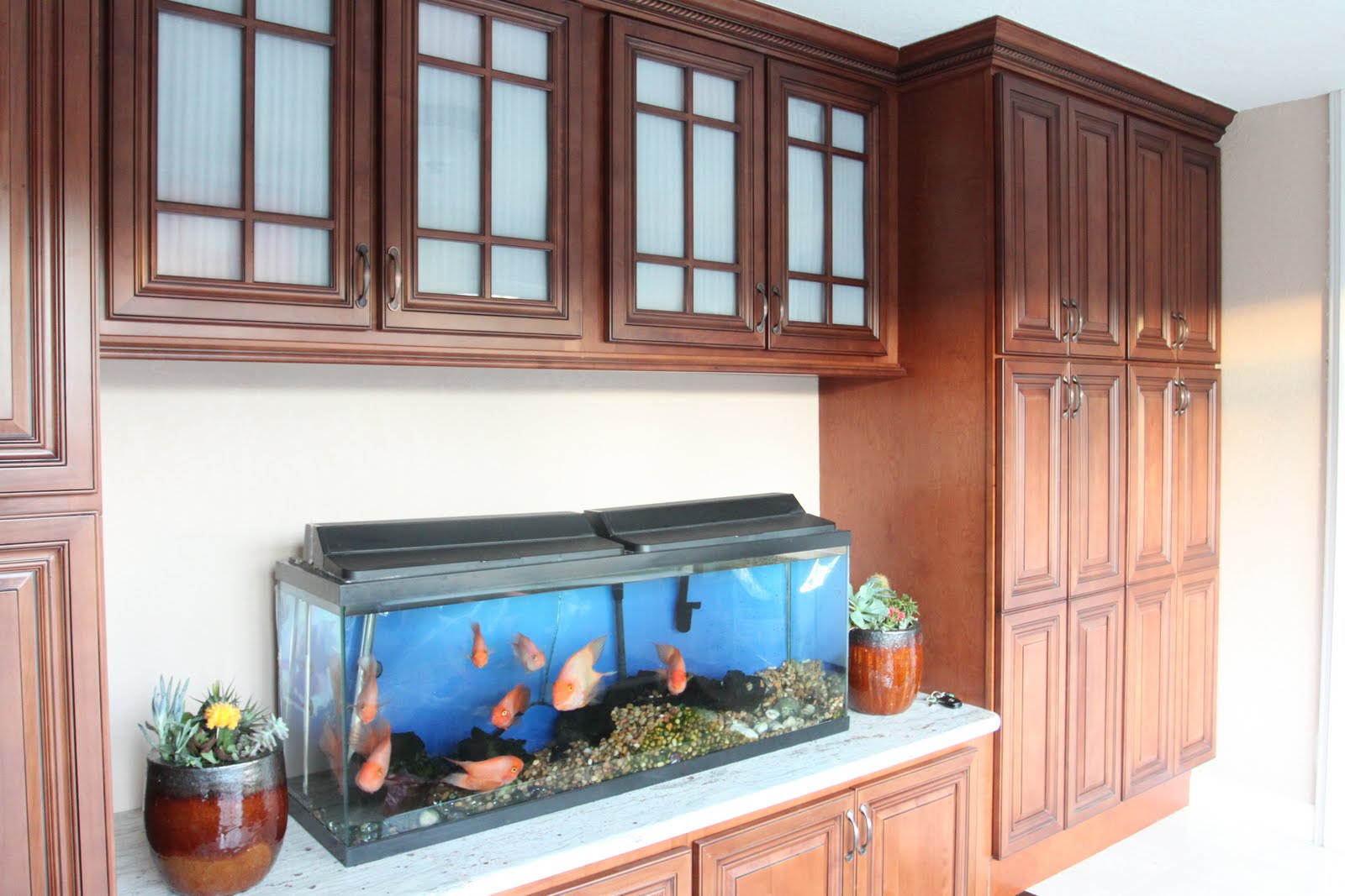 Hong Bo Hardware Supply: Cherry Shaker Kitchen Cabinets, BCK Cabinets Hong Bo Hardware Supply: Cherry Shaker Kitchen Cabinets, BCK Cabinets