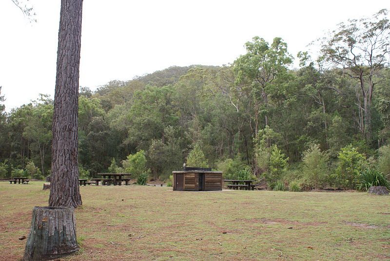 Nele & Andrew Around Oz: Red Rock Campsite, Byfield State Forest, QLDScnery