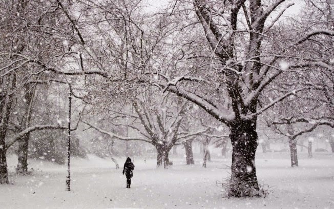 Um blog com poesias e coisas da vida: A Beleza do Inverno