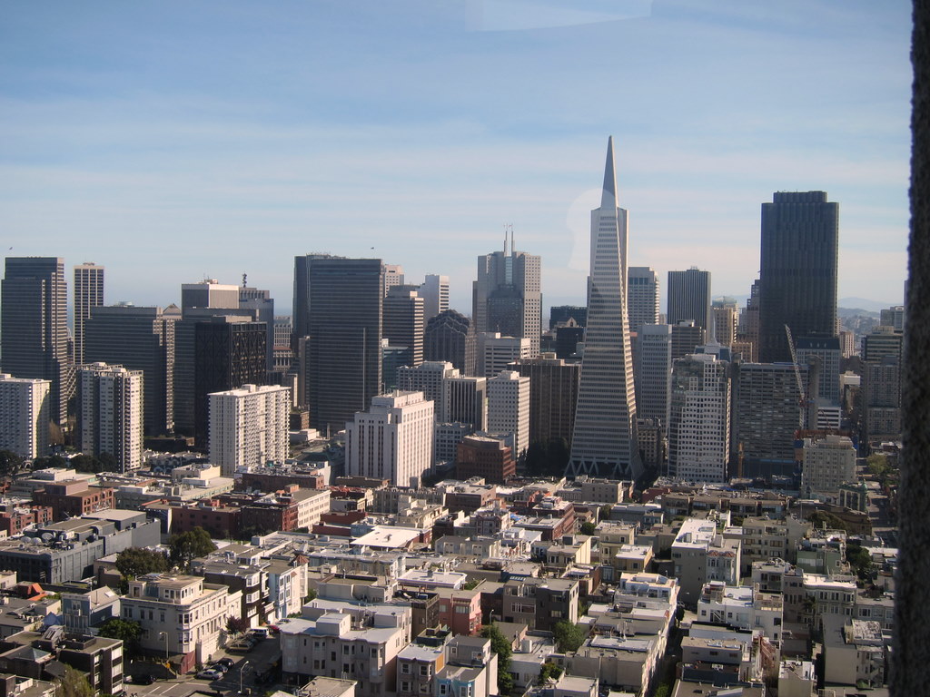 Jane Says: Walking to Coit Tower and the Parrots of Telegraph Hill