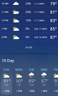5 Tips to Organize Your Evening (to Make Your Morning Easier)