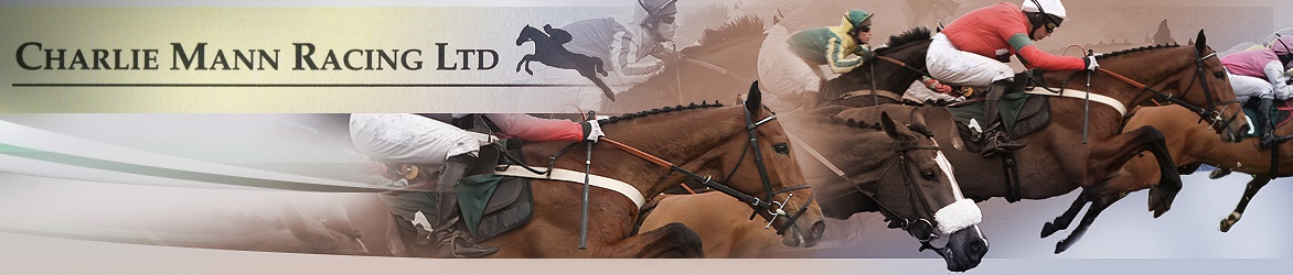 Summer 2015 | Charlie Mann Racing