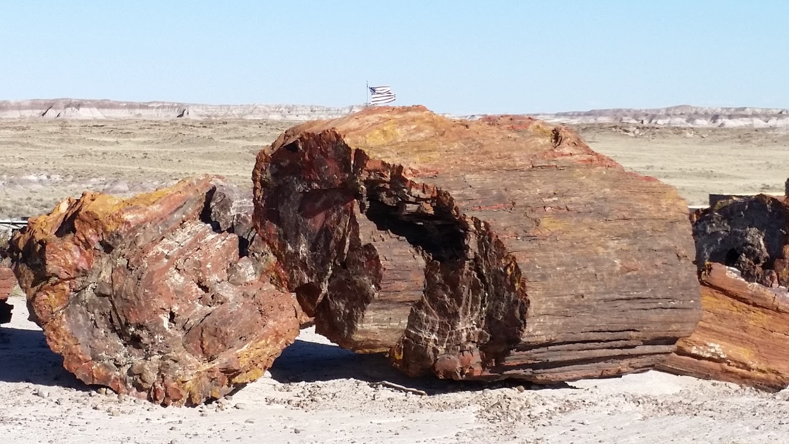 Rambling RV Rat: Petrified Forest National Park - Stop 2 in our Trek ...
