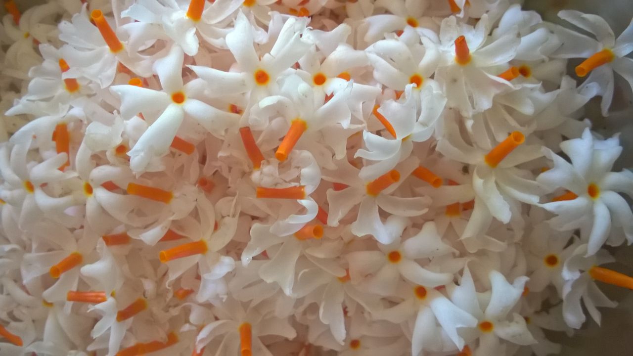 Lesser Known Assamese Vegetarian Dishes That You Need To Try Once