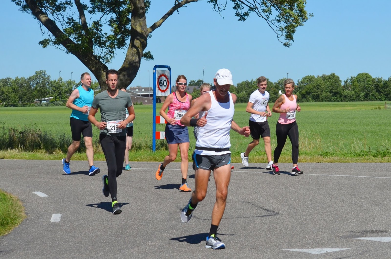 Hardlopen met Toli: 01-07-2018. Rûnom Mantgum, Mantgum (FR)