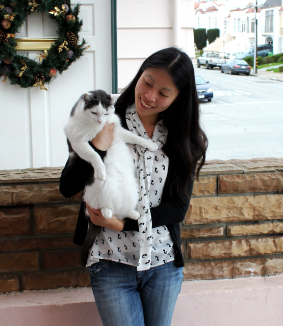 Cation Designs: Put a Cat on It!