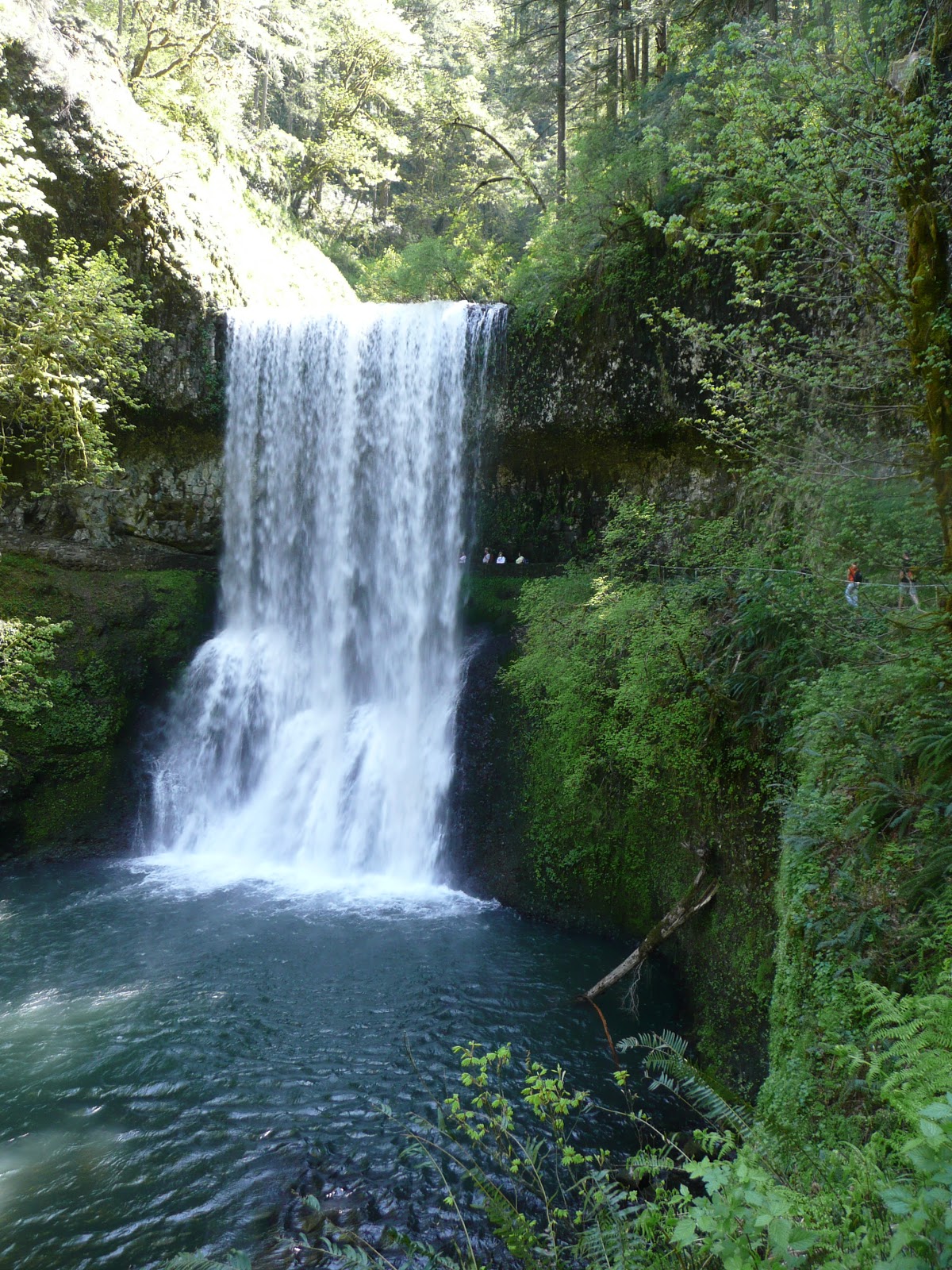 Hiking Oregon: Silver Falls: Trail of 10 Falls