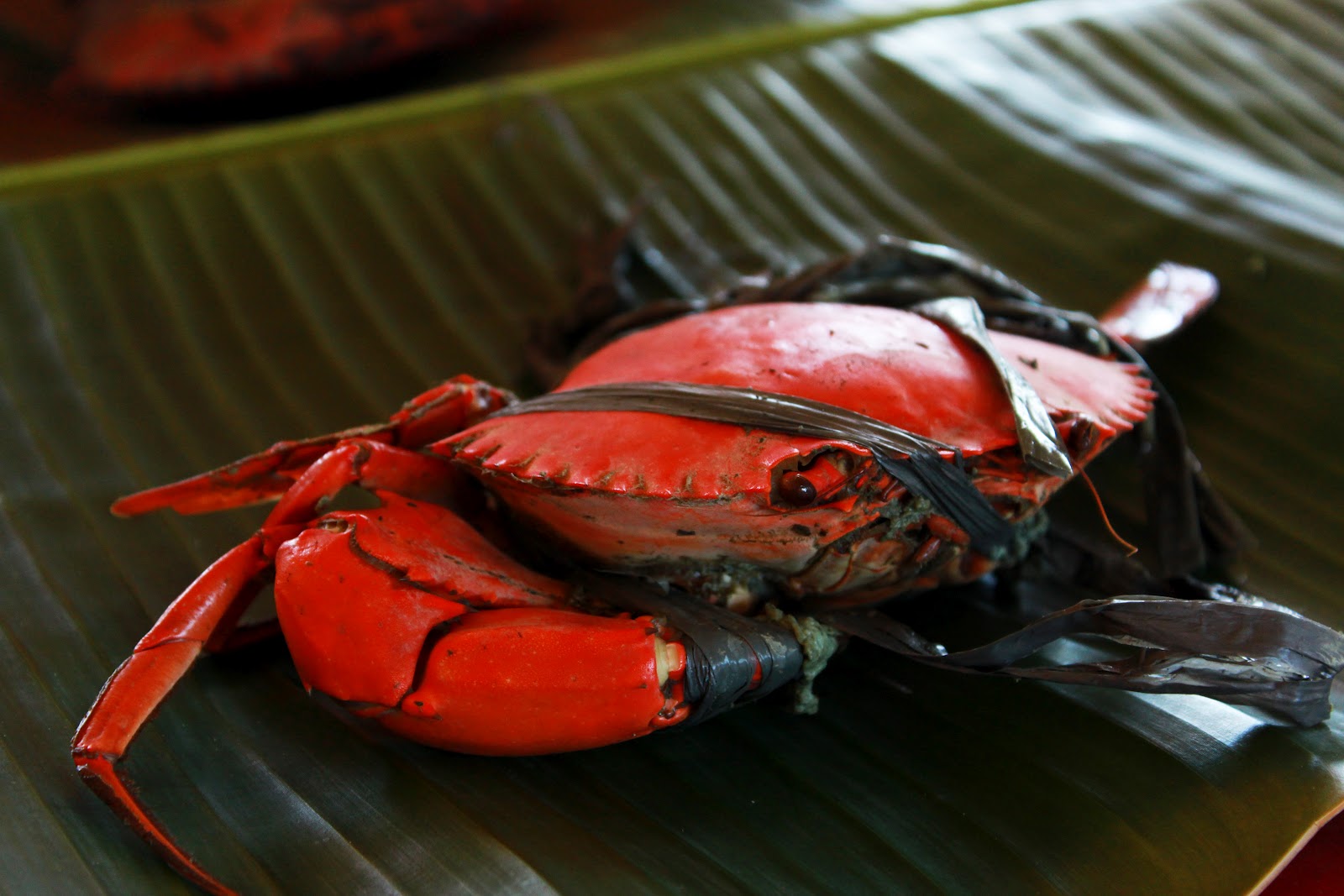 Cherry Desuasido: Buguey, Cagayan