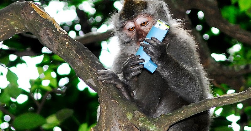 Breathing Easy: Helping Your Child Manage Their Asthma This Summer — A ...