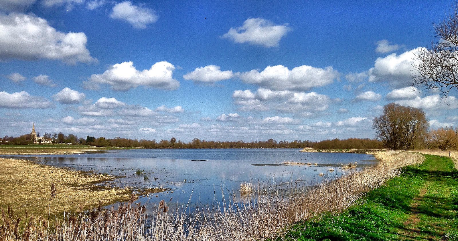 Cambridgeshire walks: Bluntisham to Earith circular walk
