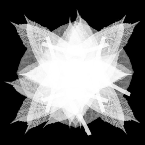 Lori's PSP Graphics: Spring/Flower Masks!