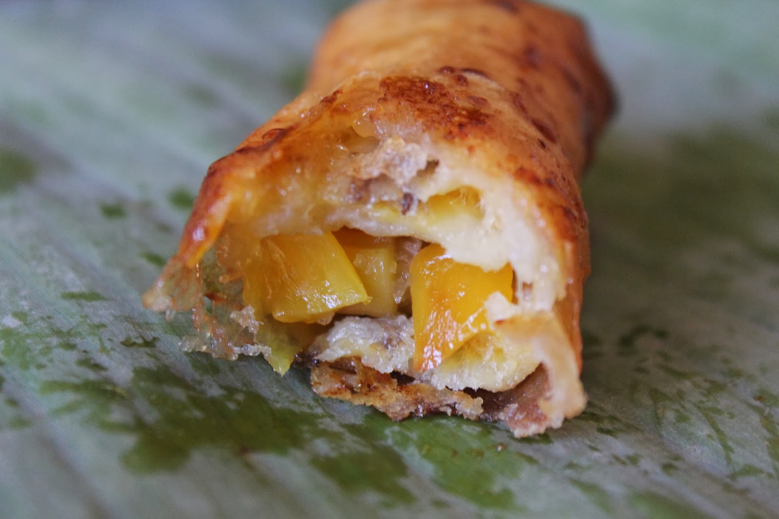 Stay, Stray, Play and Feast: Langka Turon by the Carmelite Sisters