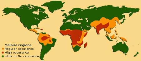 Mosquitoes and Malaria: The Deadiest Animals in the World: About Malaria