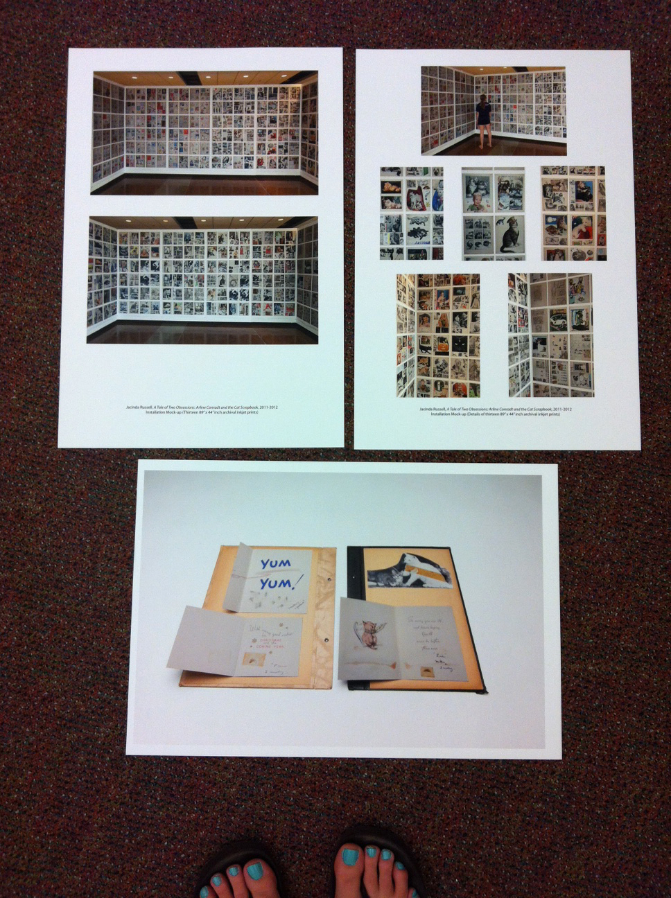 Something Between Want and Desire: Cat Scrapbook Portfolio Prints