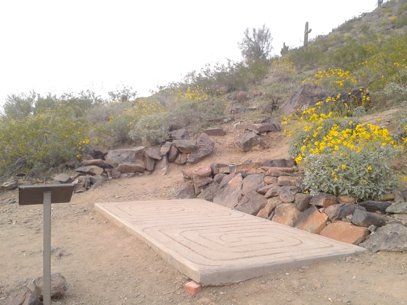 Buffalo Ridge Disc Golf Course