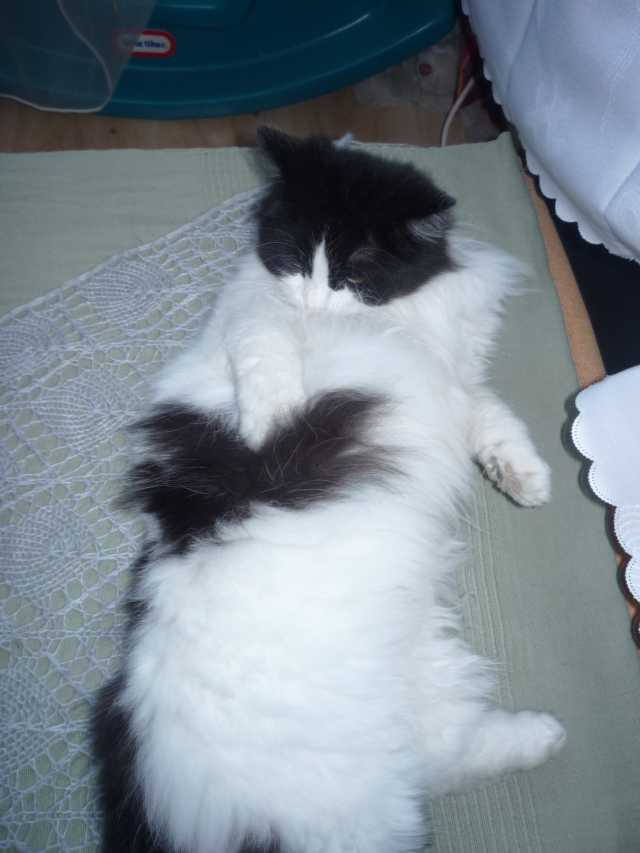 What Is Kate From Kate`s Playgrounds Real Name?