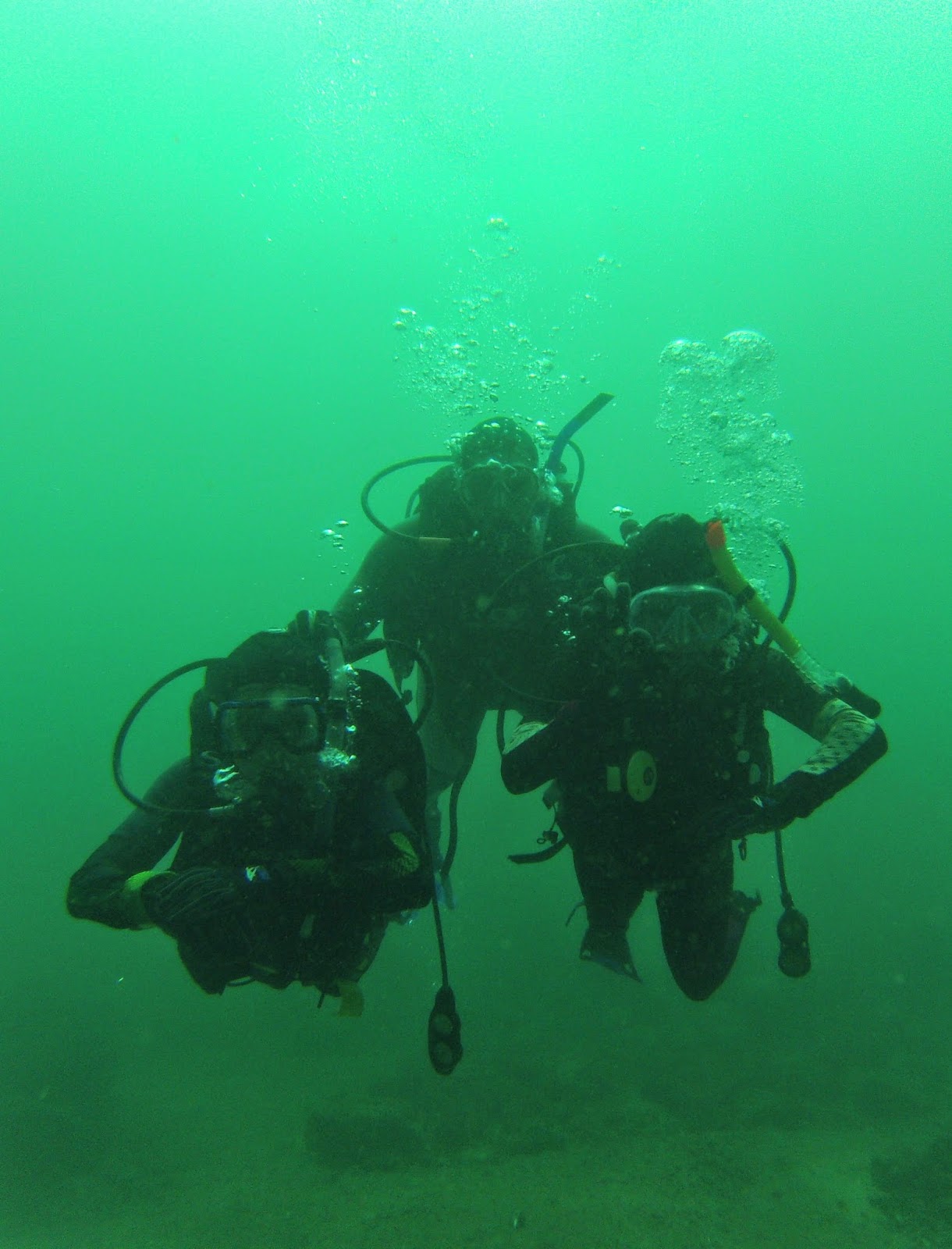 Family Circus: They Did it! Two new certified Divers on Family Circus