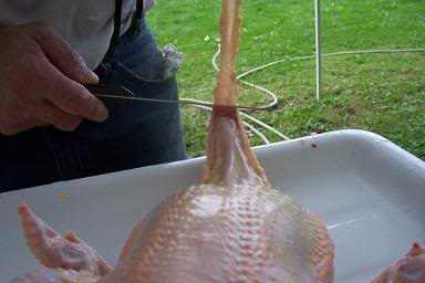 How ToButcher A Chicken: Step 4Loosen The Crop