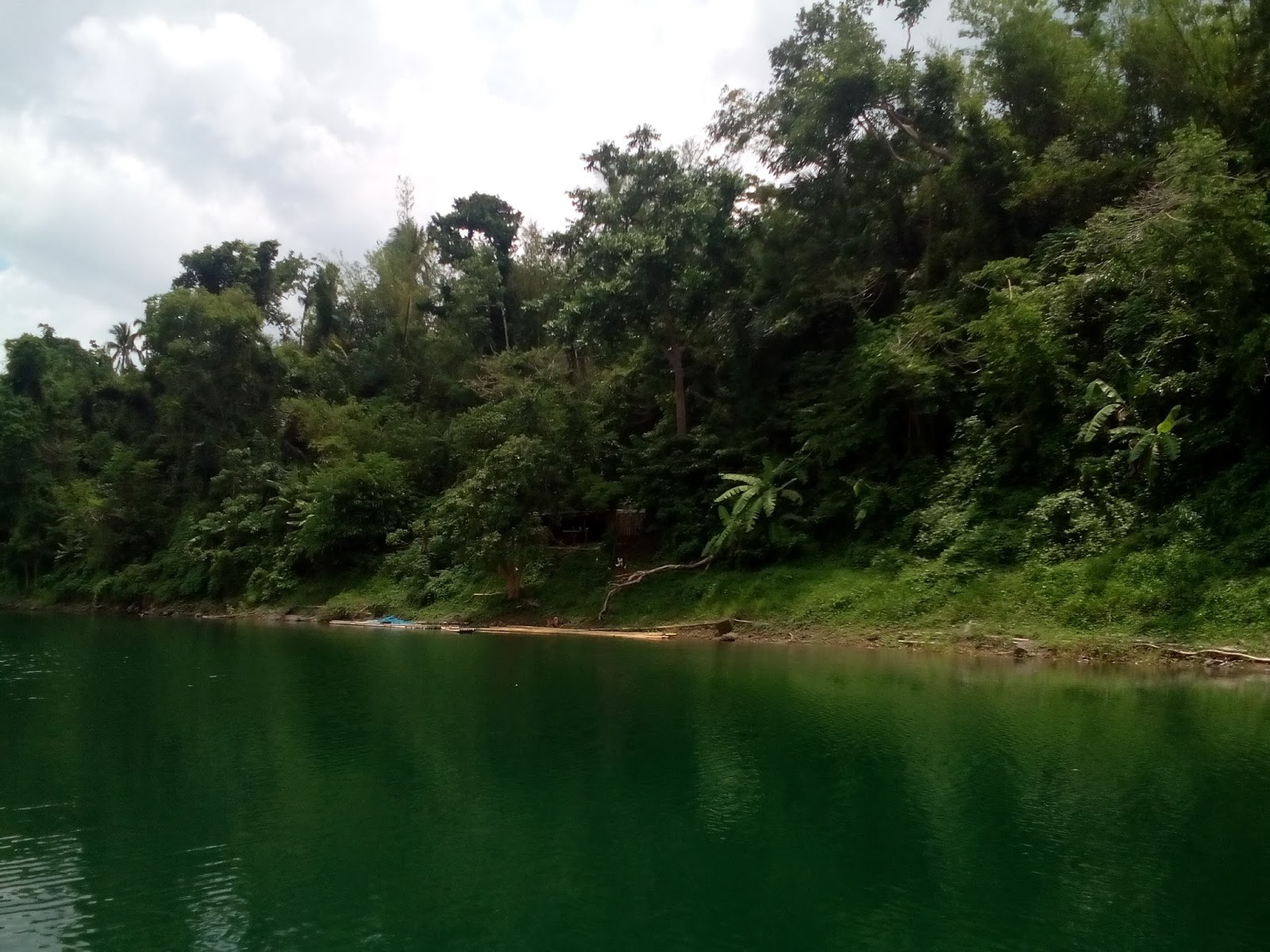 The BBBrillo Man : Yambo Lake