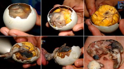 COMIDA MAS RARA DEL MUNDO EL BALUT : TAL VEZ SABES