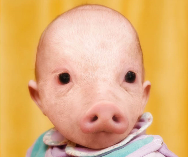 The End of Summer: THAI FOOD