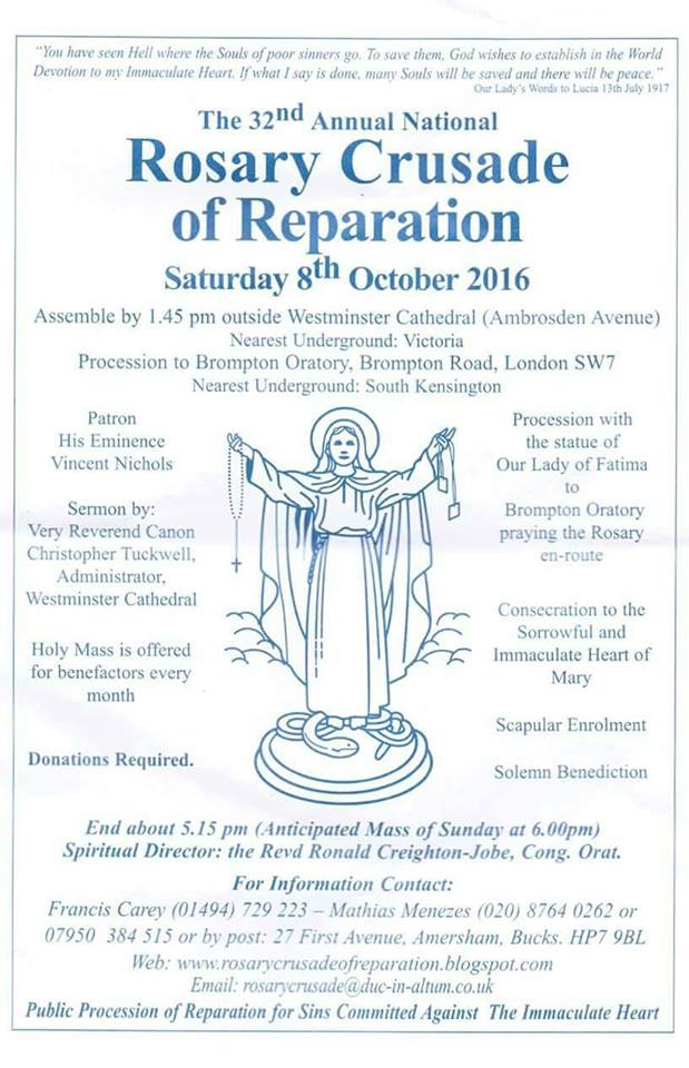 Young catholic adults Latest News: September 2016