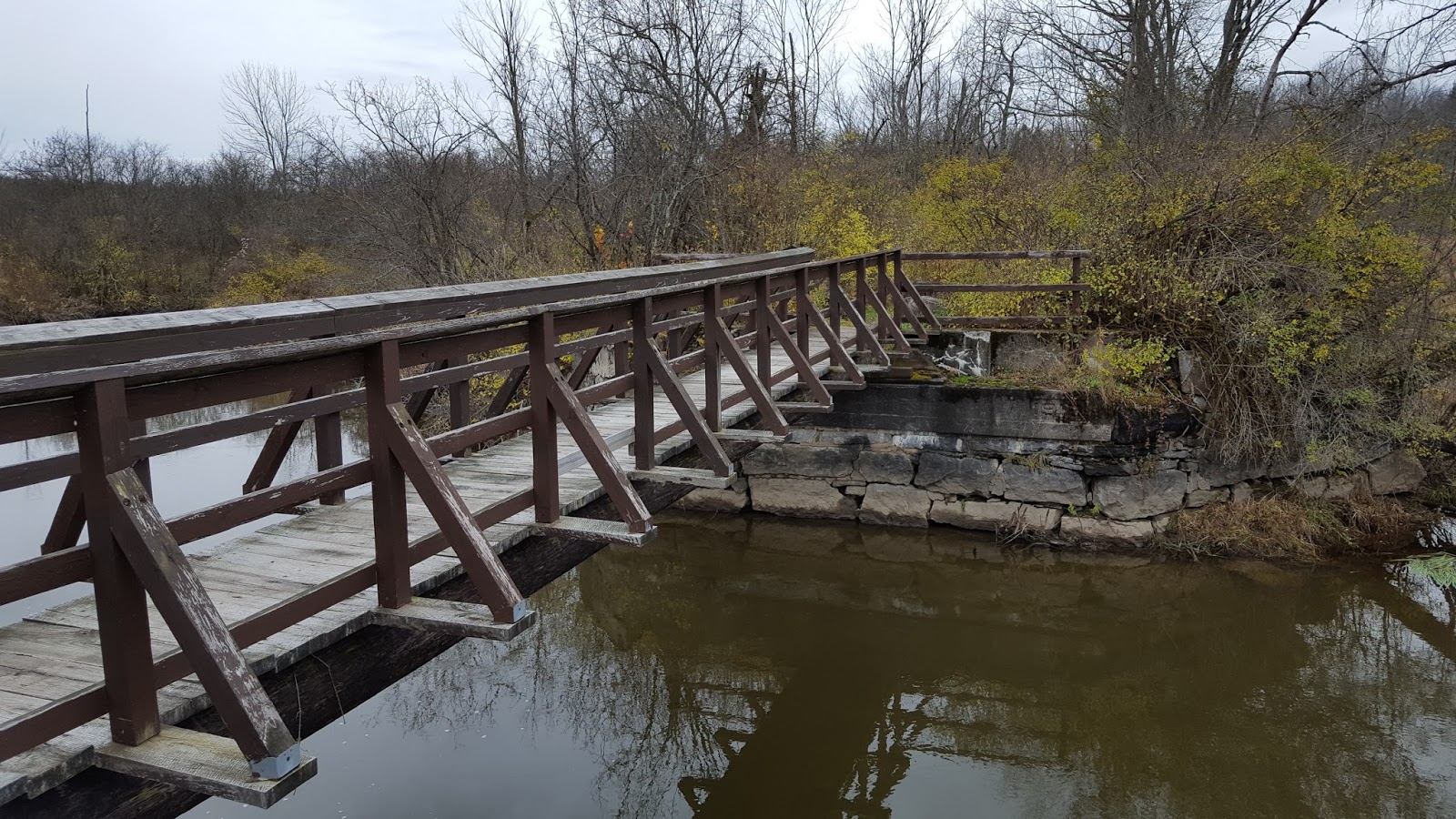 Sara Hikes... But Not Enough : NCT: Nelson Swamp & Roadwalk