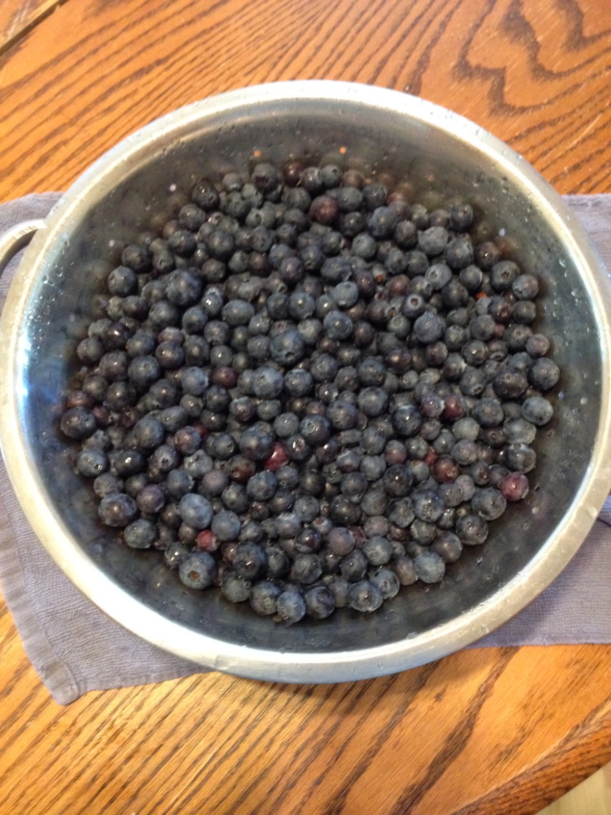 Life less hurried, living in the slow lane: DIY frozen blueberries