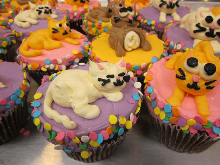 Kue-kue kucing yang unik | Kucing gue