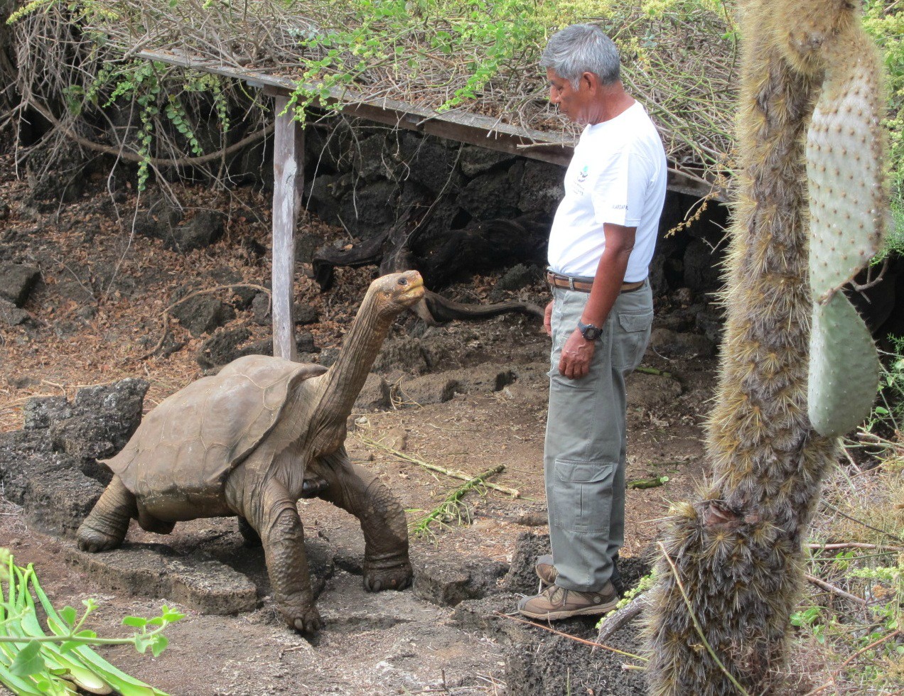 El Solitario Jorge será patrimonio cultural