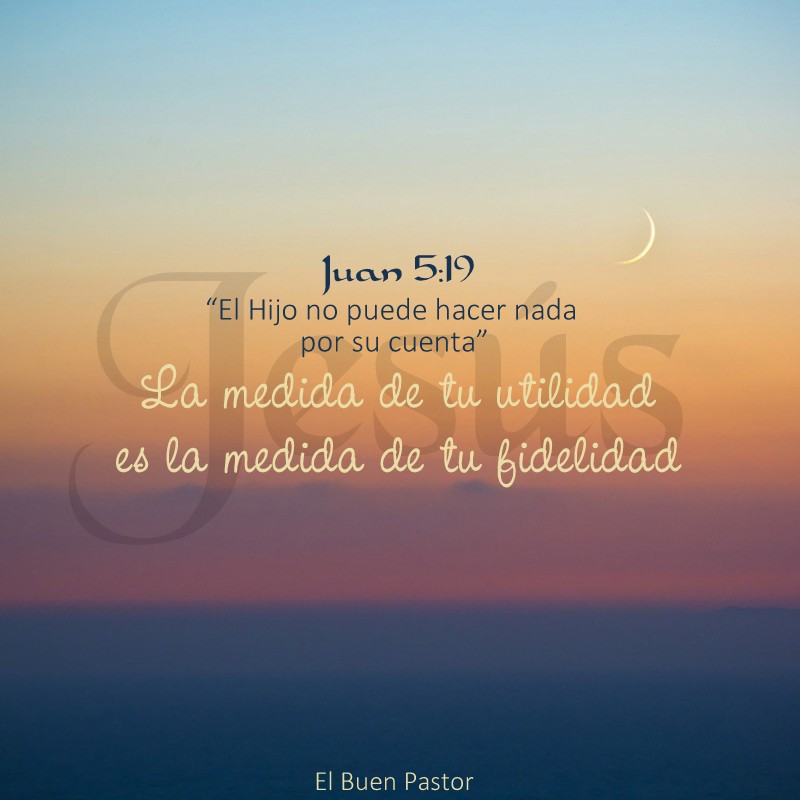 YO SOY EL BUEN PASTOR: Juan 5:19