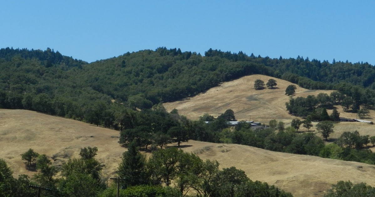 SW Oregon Architect: Building as Landscape