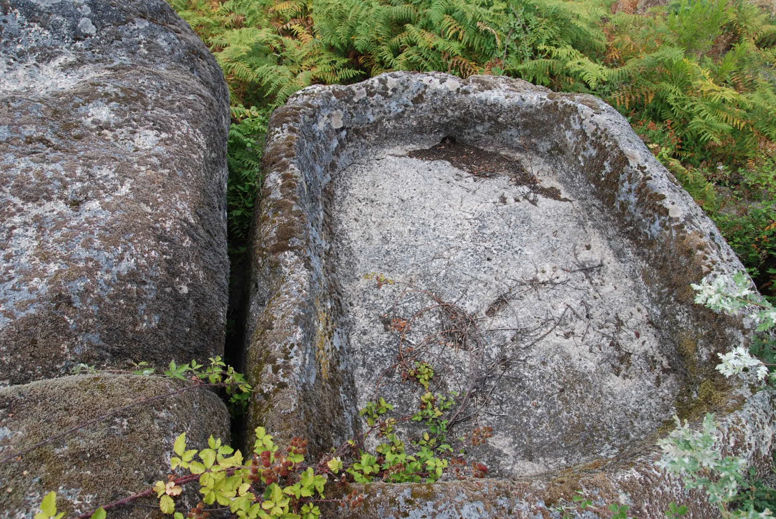 Terrenho: LAGAR ANTIGO