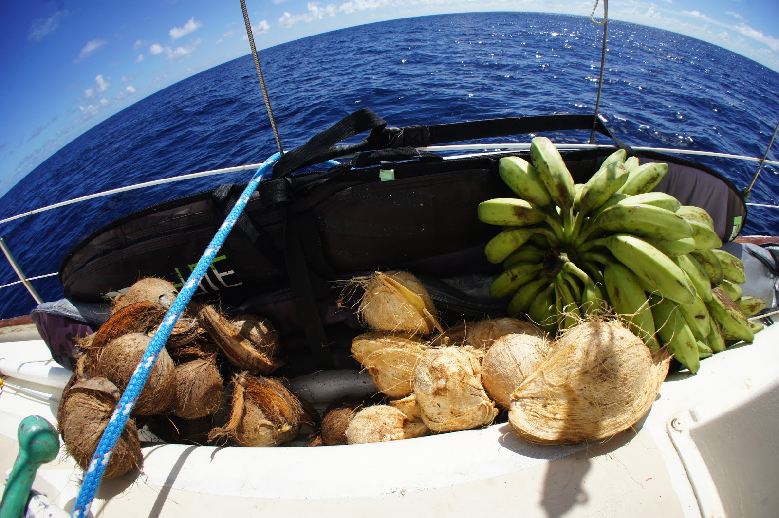 Genesis Earthling: Farewell Anuta!