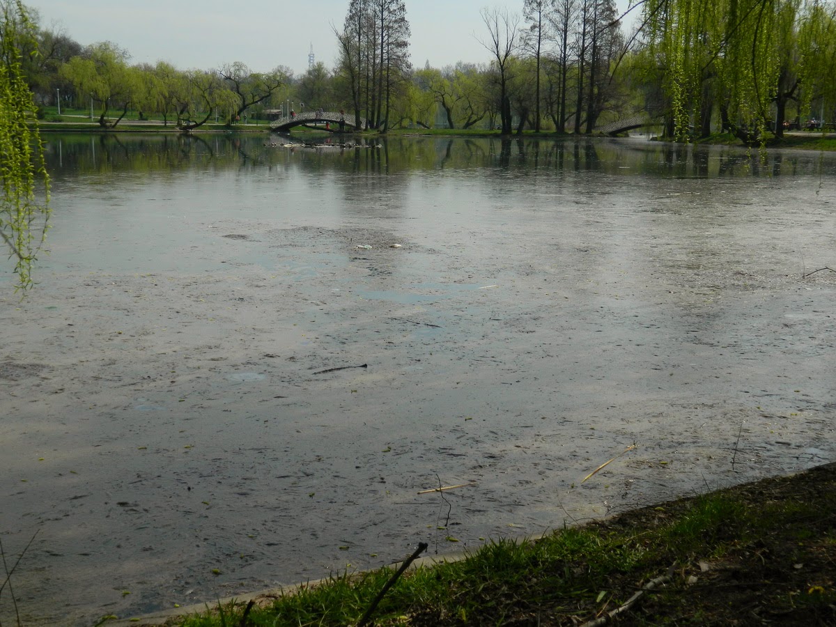 LA MULTI ANI, ROMANIA!: Poze "ecologice" in parcul Tineretului