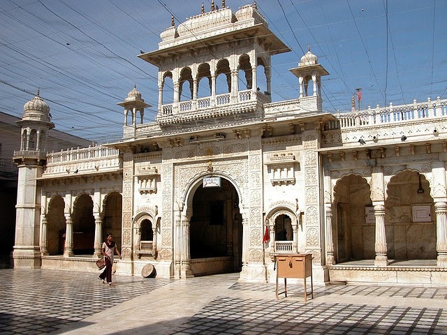 The Holy Rats of Karni Mata | The Ark In Space