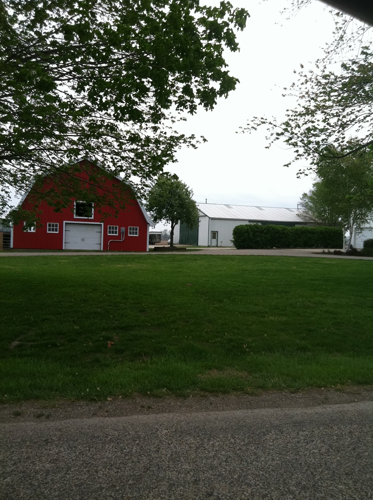 Trausch Farms: Bridwell Show Cattle - Indiana