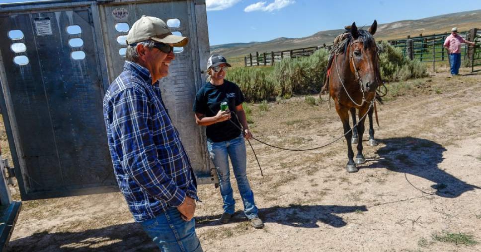 THE WESTERNER: ‘We are not all Cliven Bundys’: Rich County ranchers ...