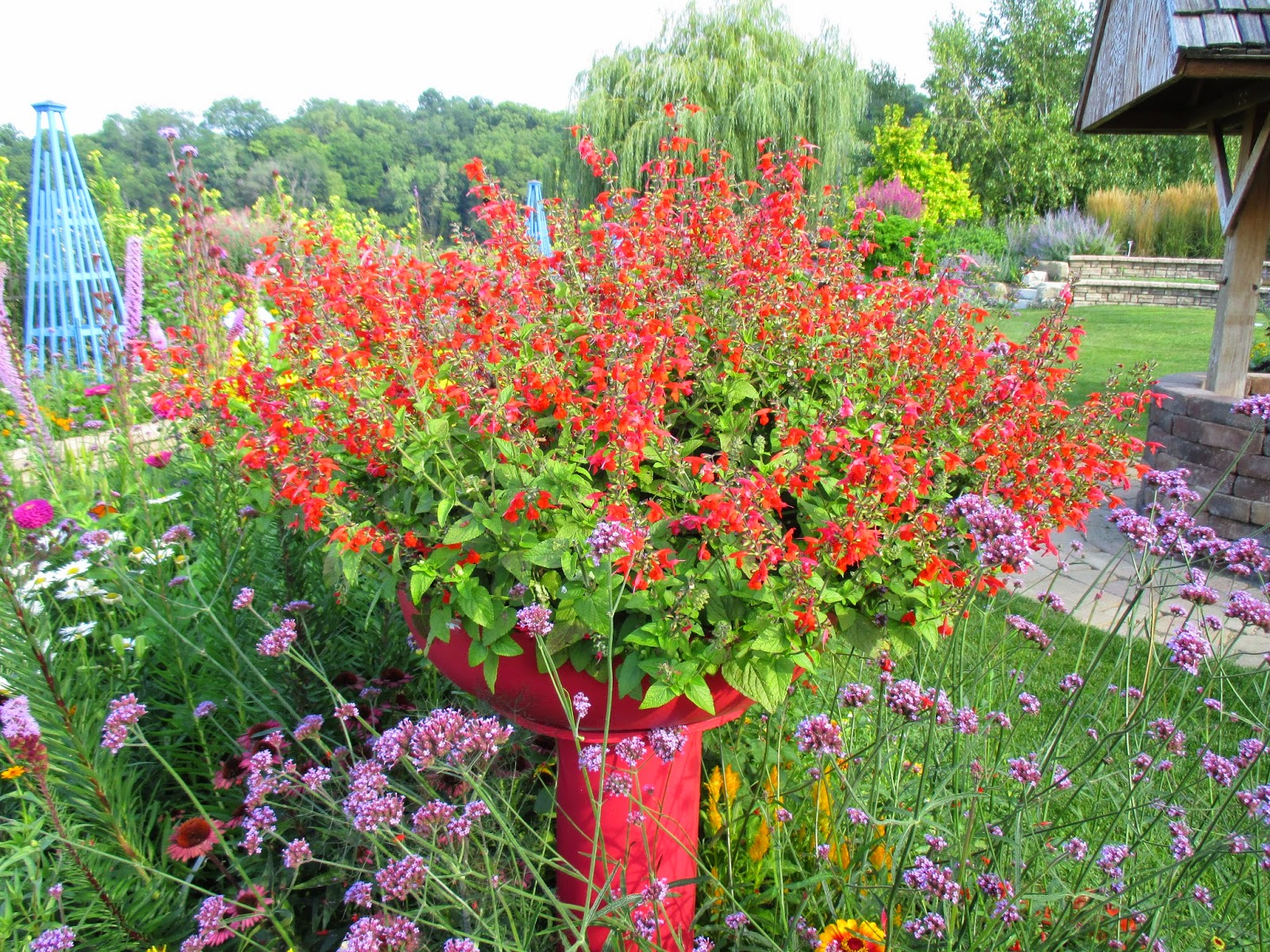 Rotary Botanical Gardens - Hort Blog: Three-Peat Victory