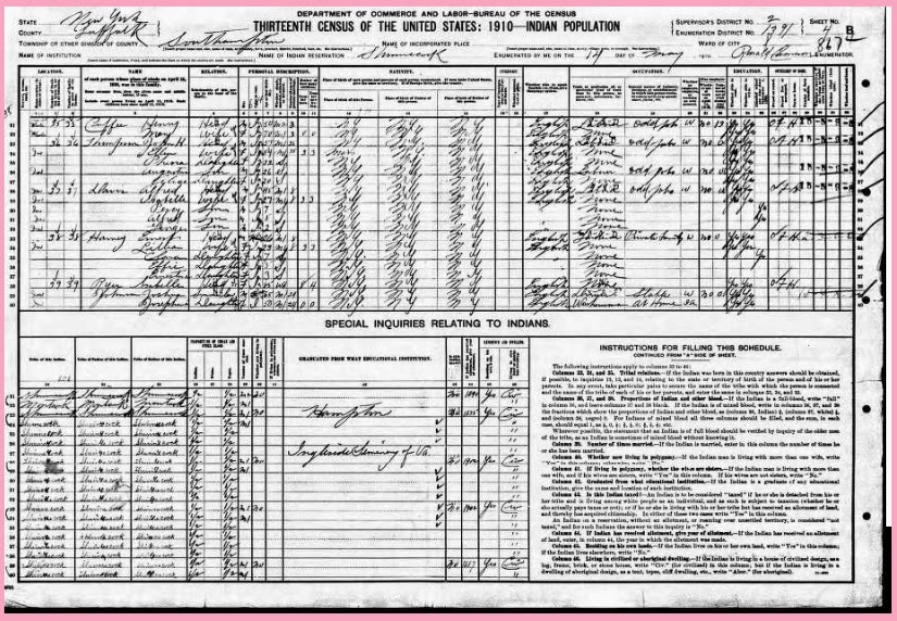 The African-Native American Genealogy Blog: Basic Census Documents for ...