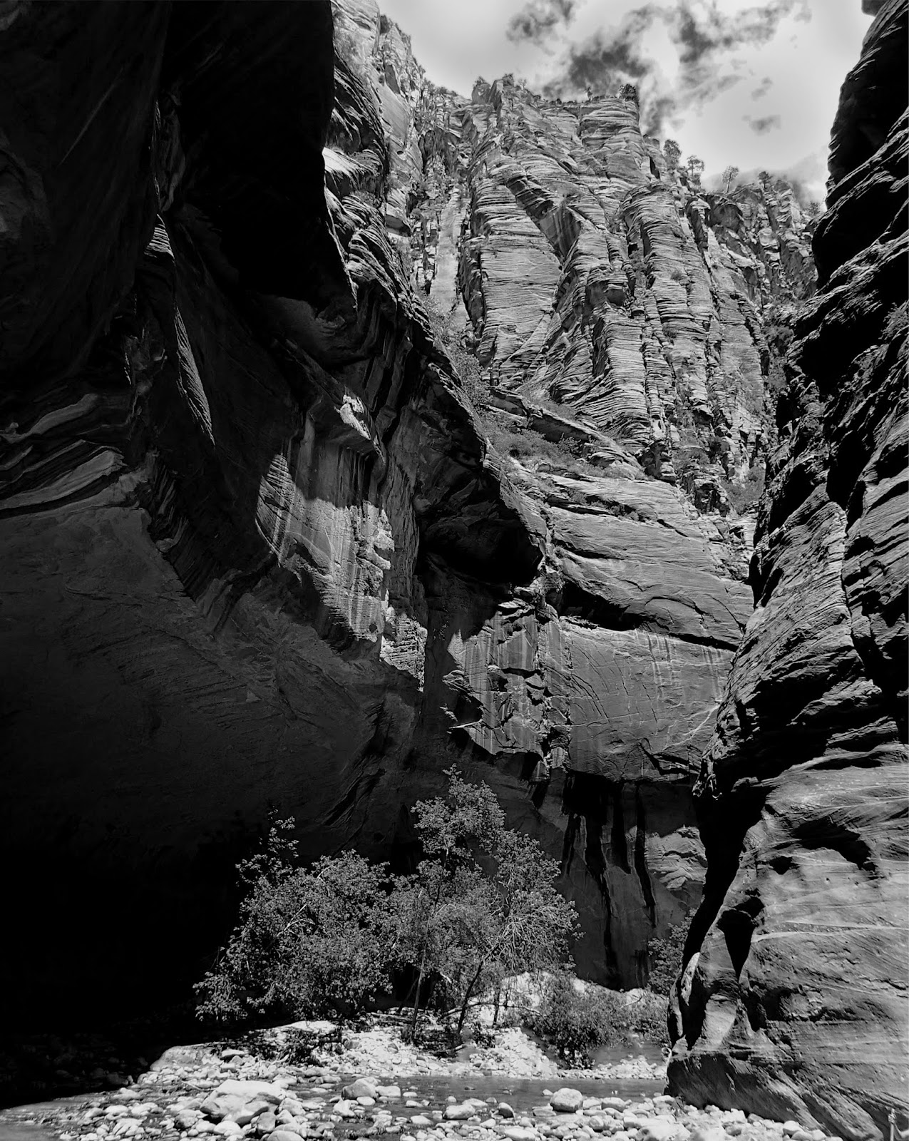 Discovering Art in Chicago: Exposed: Dual Perspectives in Paint and Pixel