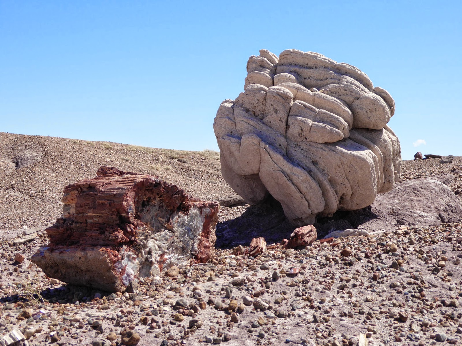 cruisingat60: And lived to tell about it