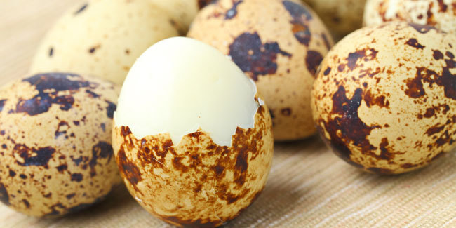 Health - Facts about Quail Eggs