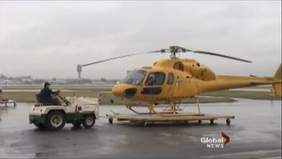 Whispers from the Edge of the Rainforest: Thurs Post #1: Every wonder ...