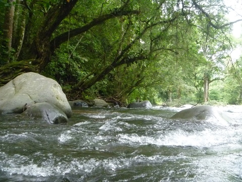 Culturama: REMONTANDO LOS CAUCES DEL GARICHE...