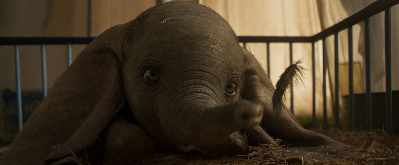 Malditas Criticas de Cine: CRITICA | Dumbo (2019)