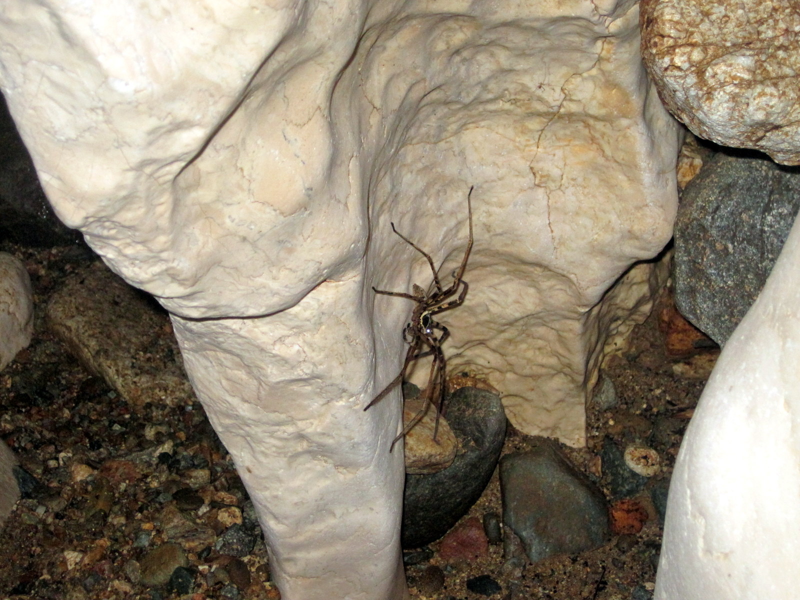 Bulacan Trails: Puning Cave, Brgy. Bayabas, DRT, Bulacan
