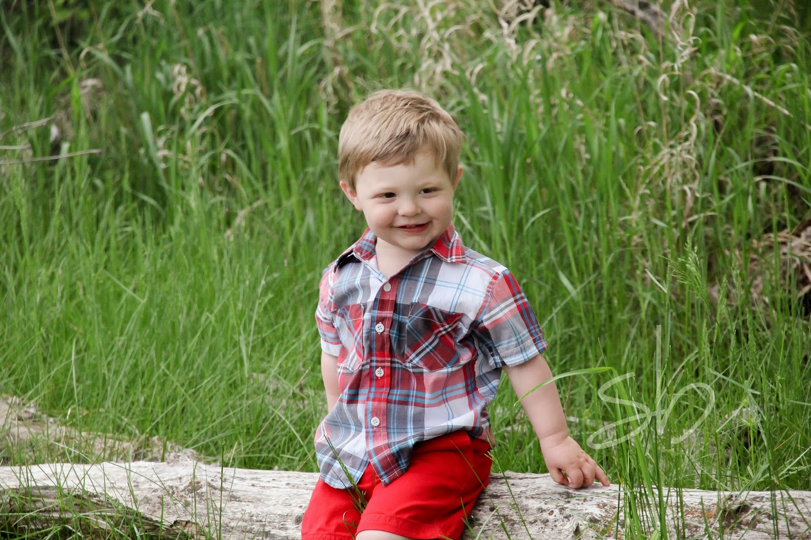 Sugarbee Photography : the dallman boys